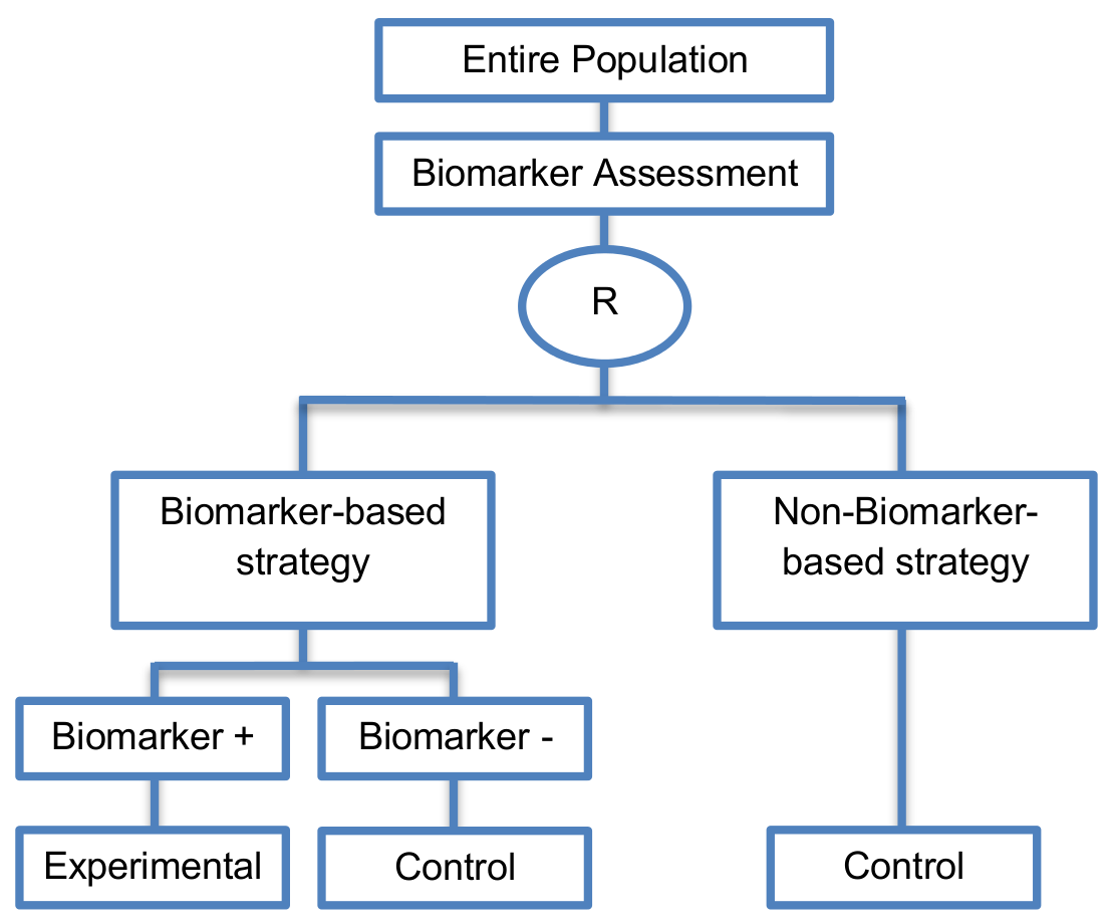 Biomarker-guided trial designs (BiGTeD) - An online tool to help ...